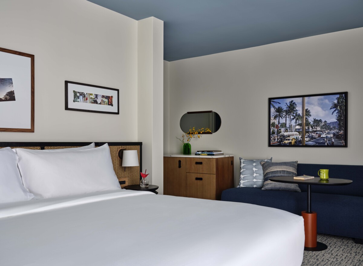 Romer House - Indidesign